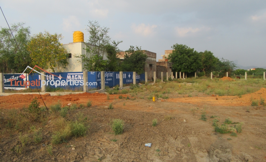 East and West Facing Tuda Approved Plots for Sale Near Appalayagunta ...