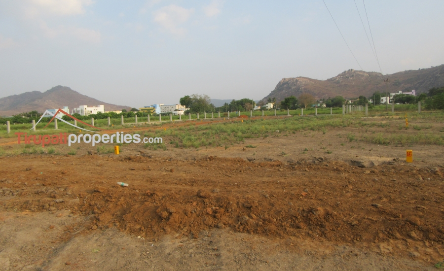 East and West Facing Tuda Approved Plots for Sale Near Appalayagunta ...