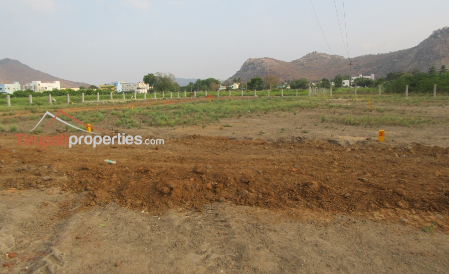 East and West Facing Tuda Approved Plots for Sale Near Appalayagunta ...